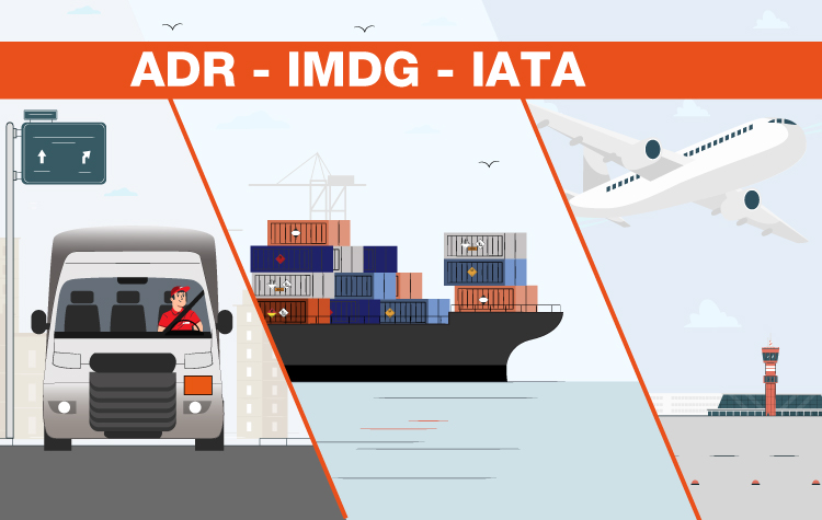 Spedire in conformità: le principali normative per il trasporto di ...
